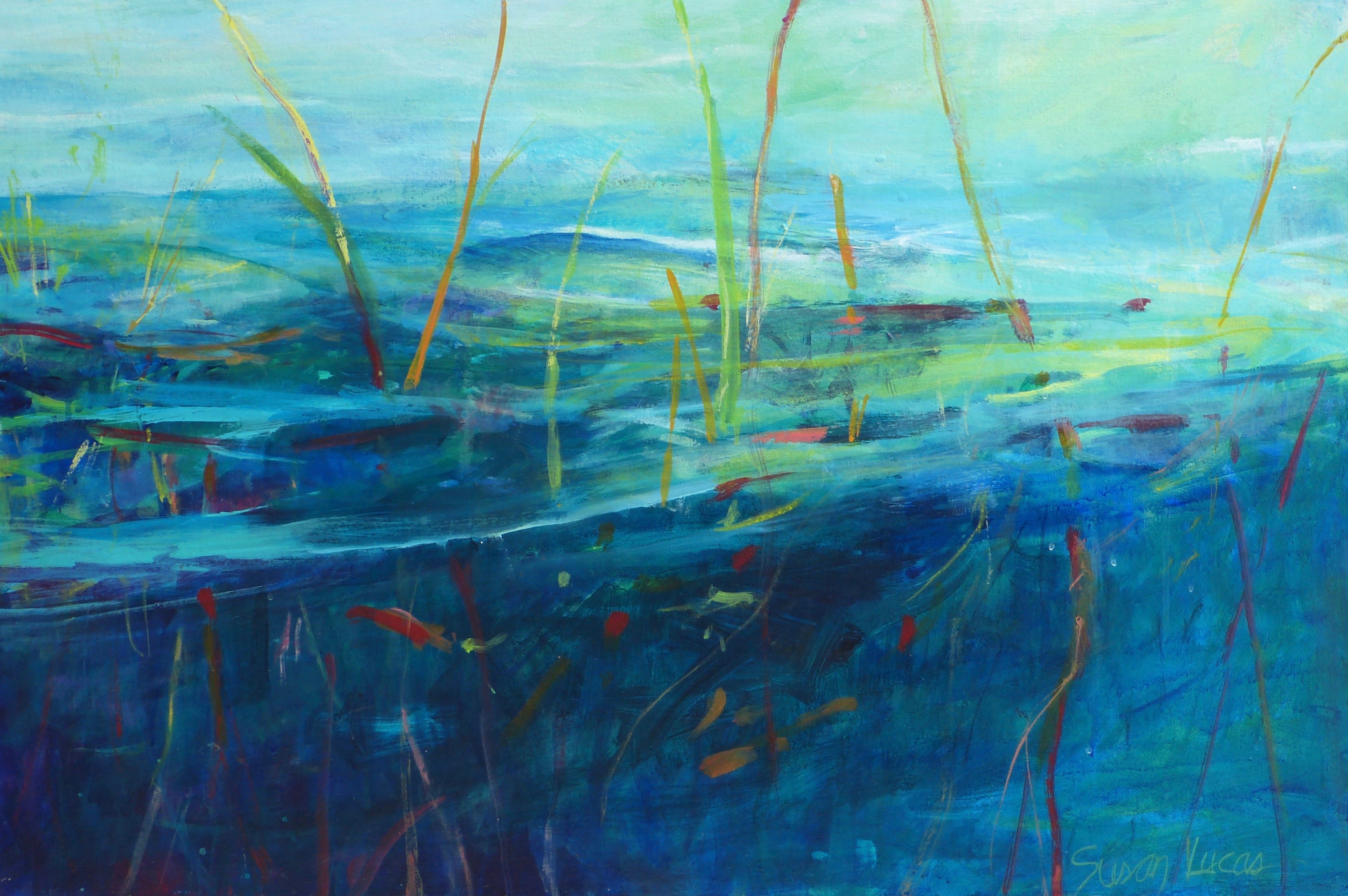 Coastal Visions - Susan Lucas Art