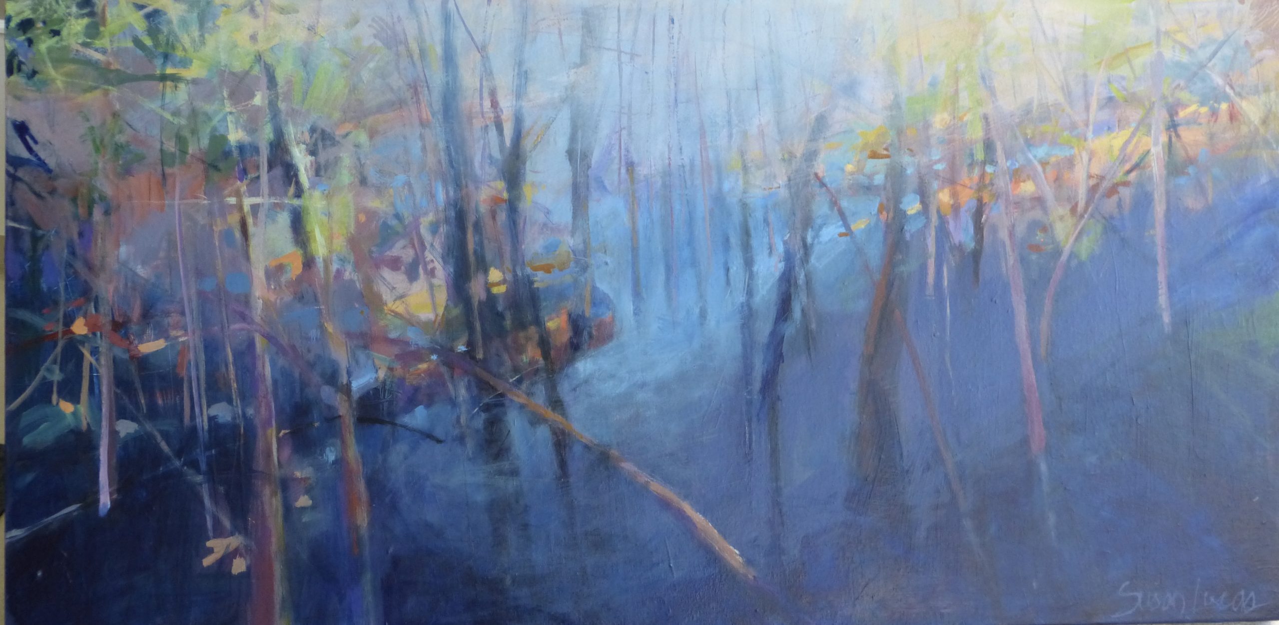 In Collections - Susan Lucas Art