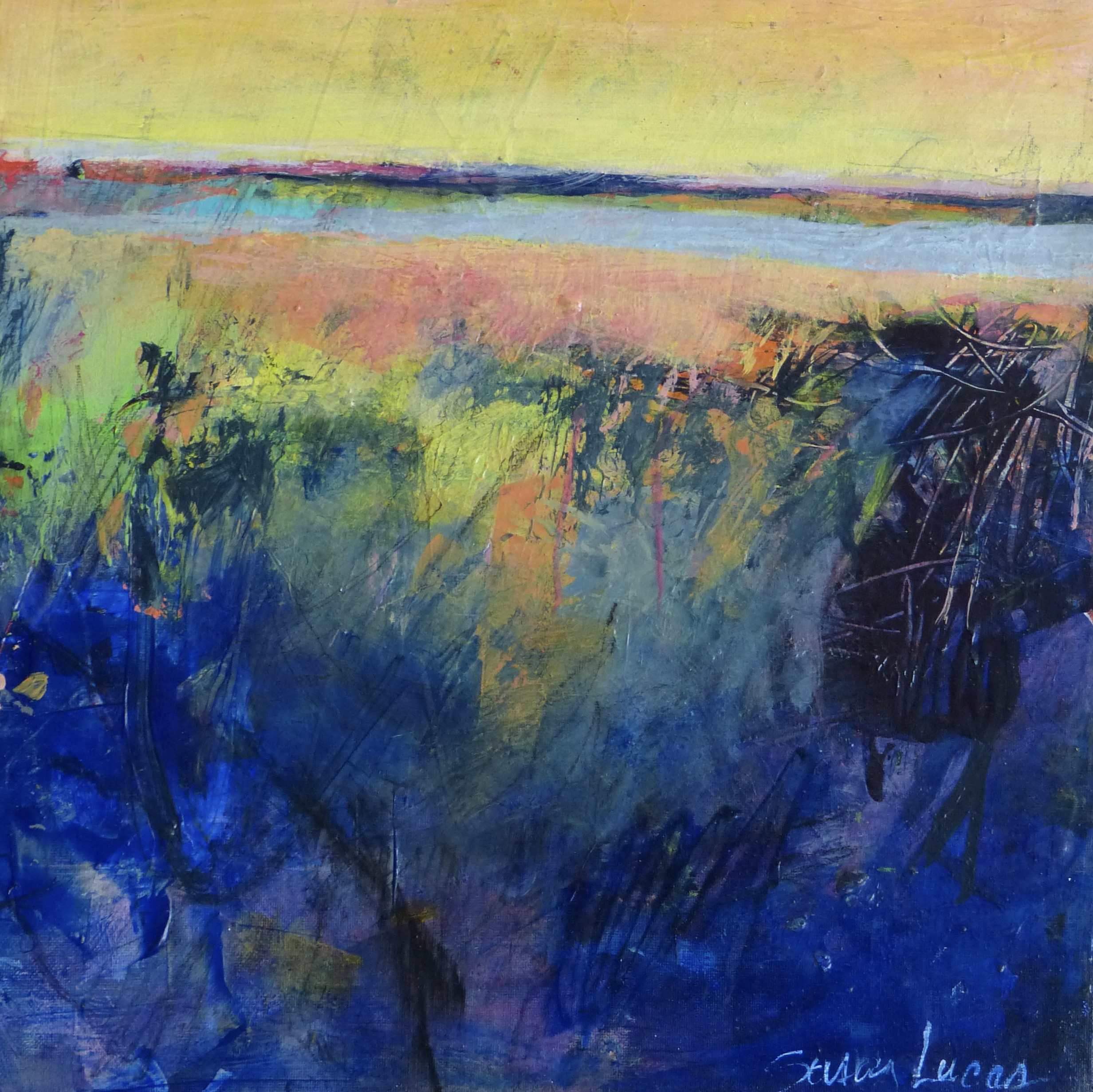 In Collections - Susan Lucas Art