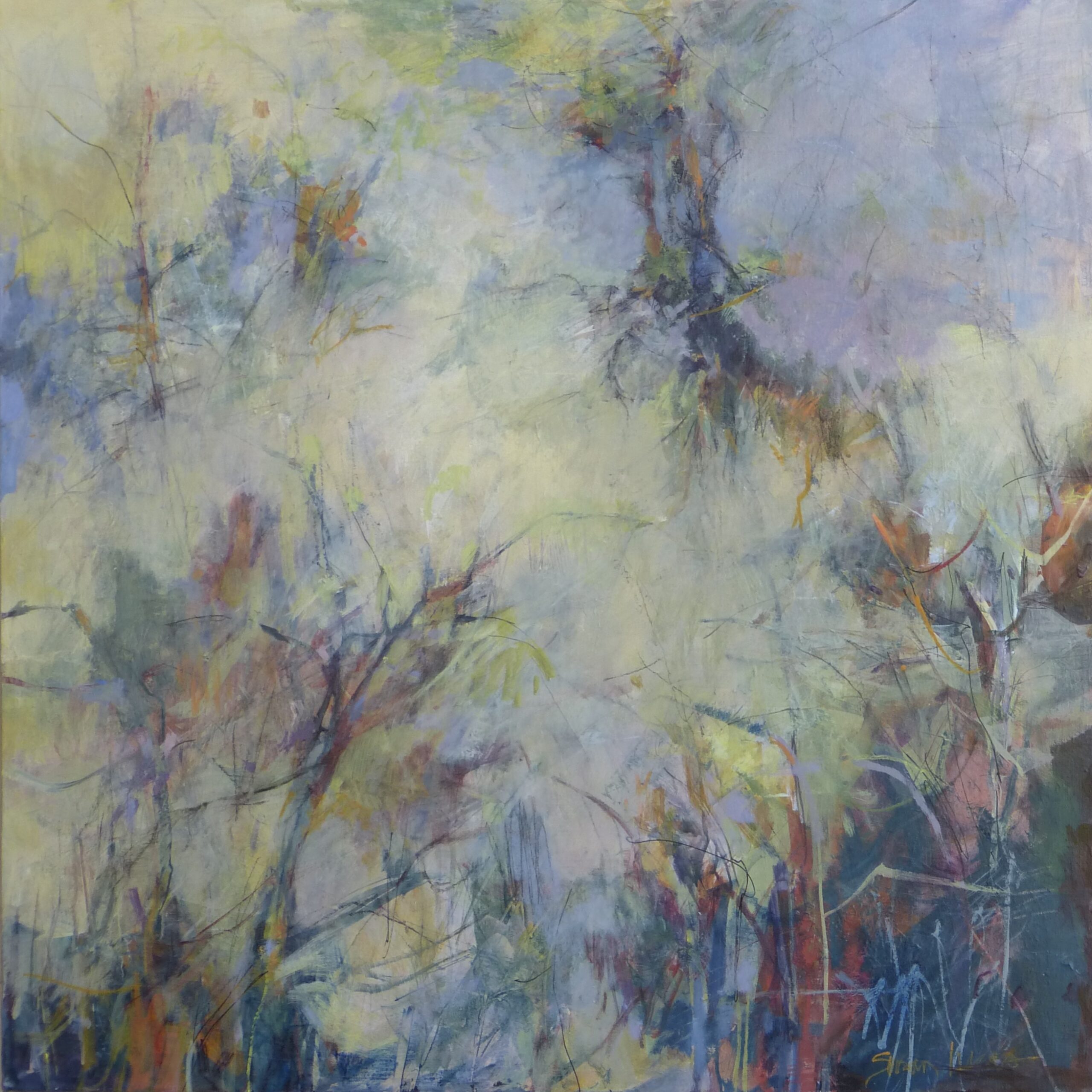 Coastal Visions - Susan Lucas Art